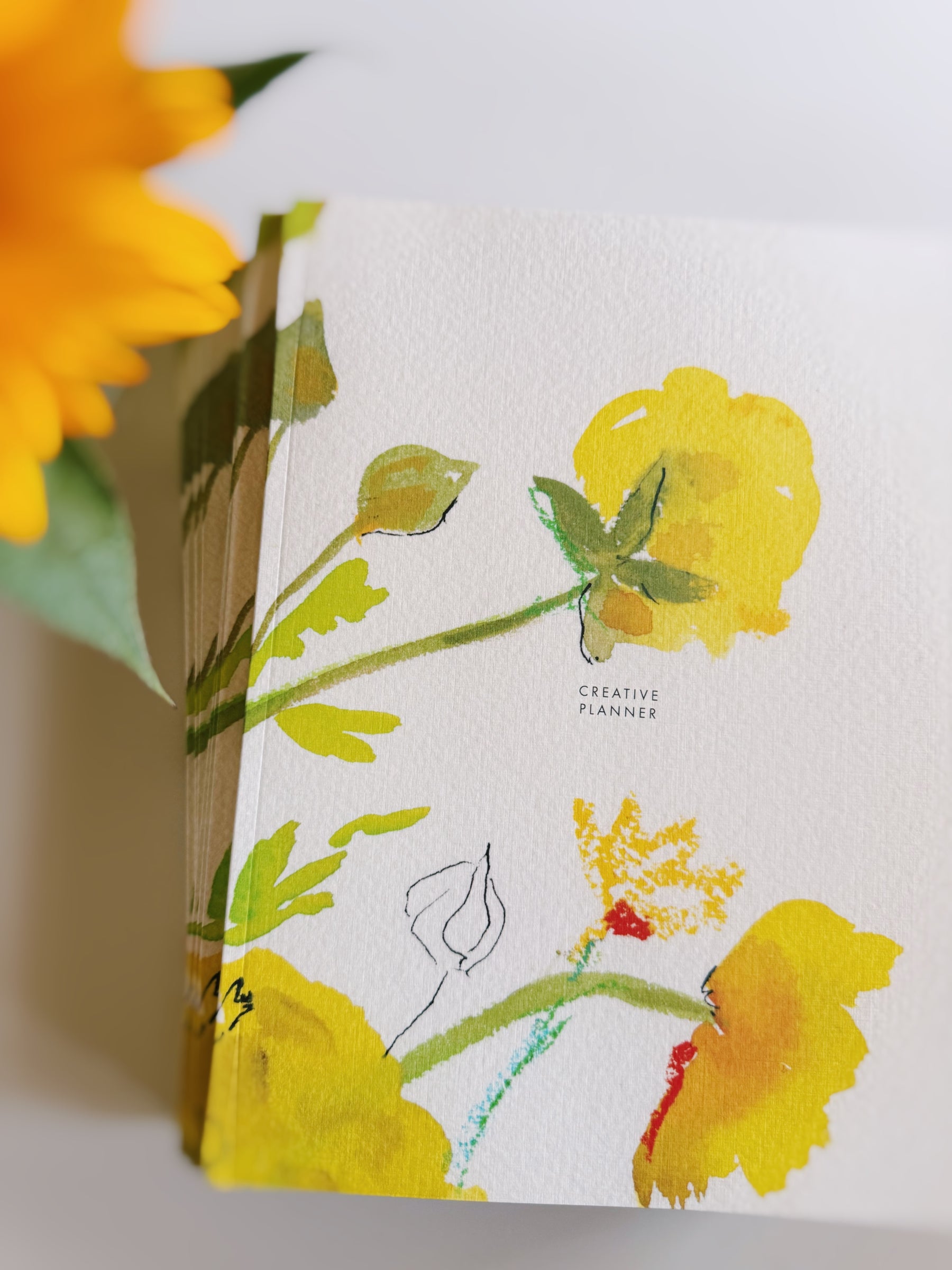 Shop– Creative Thursday